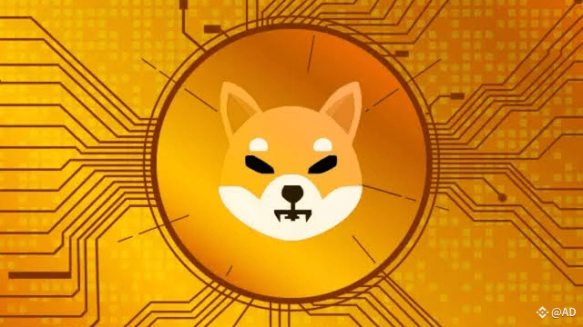 Shiba Inu ($SHIB): 2024 Recap, Burn Rate Analysis, and 2025 Price Predictions | AD on Binance Square