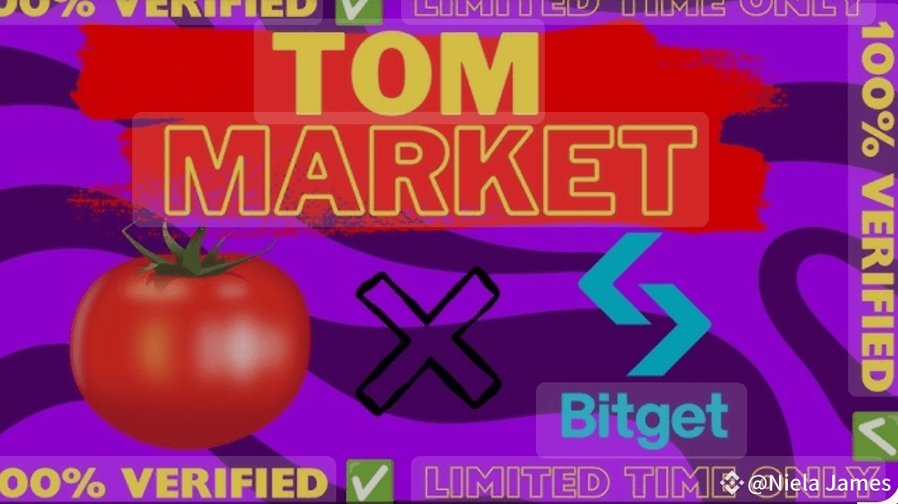 Tomarket ($TOMA) Token: Price Forecasts and Essential Insights Ahead of ...