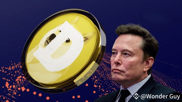 Elon Musk's fans believe he can turn Dogecoin into the curre | Wonder ...