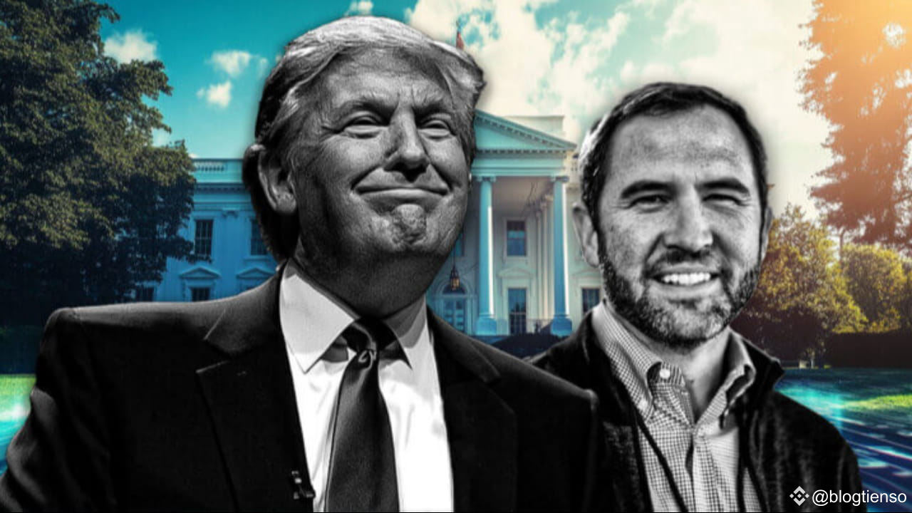 Ripple CEO Confirms Direct Discussions with Donald Trump About XRP ...
