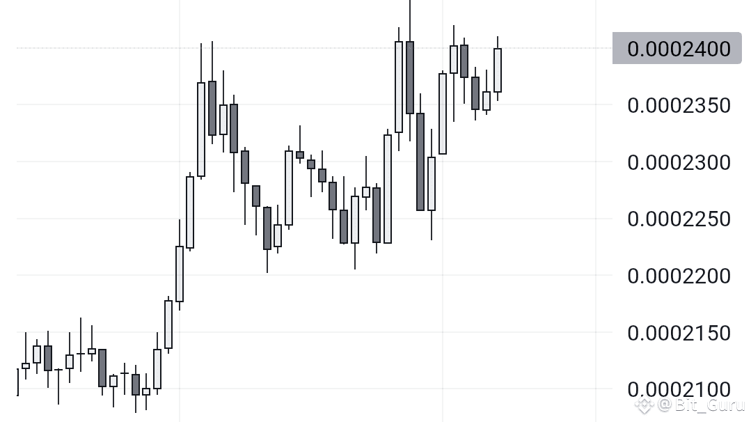 $DOGS on Fire! Woofing Up +25.72% in 24h | Bit_Guru on Binance Square