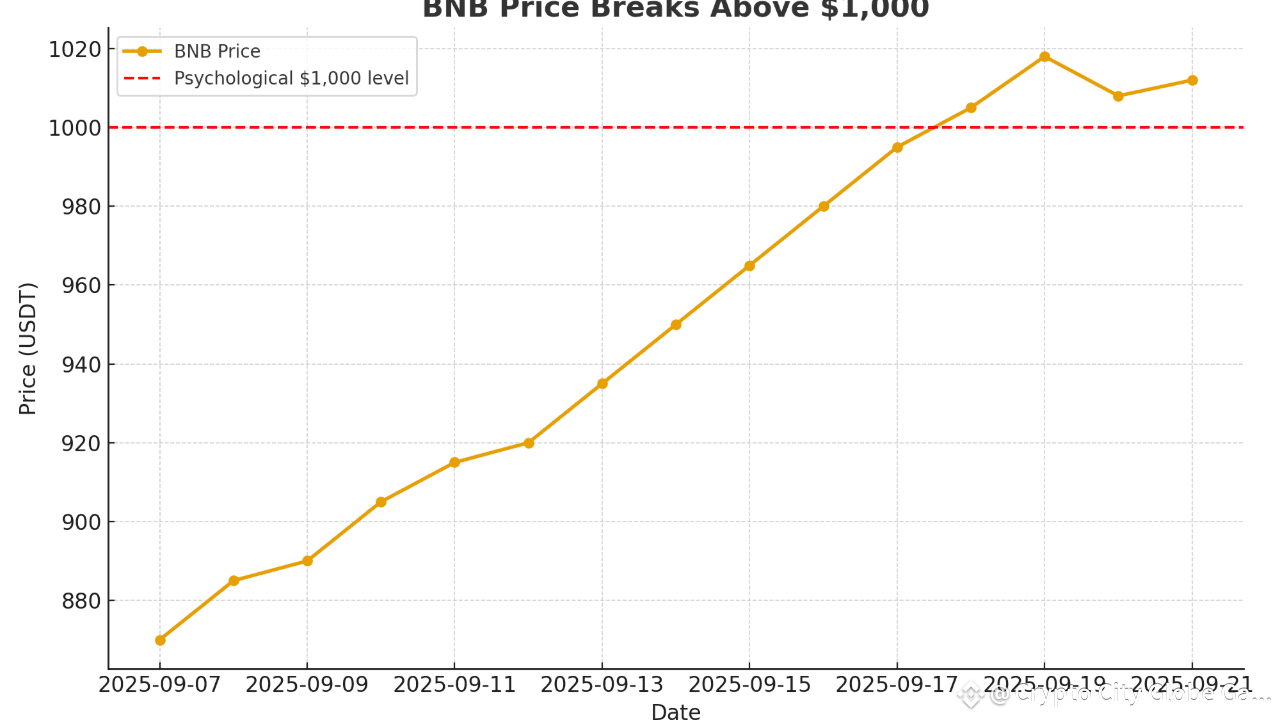 Above $1,000 and Holding: The Next Chapter for Binance Coin | Crypto ...