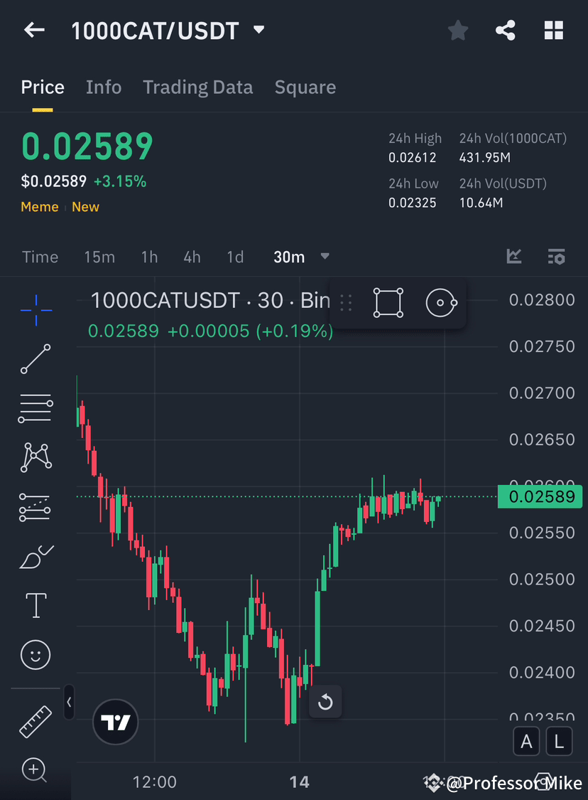 Bullish Breakout Alert: $1000CAT /USDT 💯🔥 1000CAT is gain | Professor Mike on Binance Square