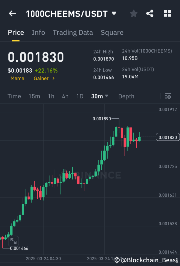 $1000CHEEMS /USDT Bulls in Command — Momentum Play in Action | Blockchain_Beast on Binance Square