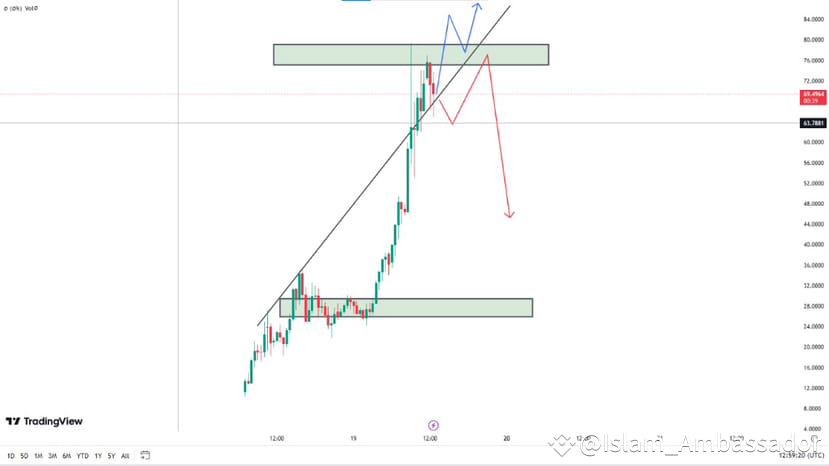 Should I Buy Trump Coin Now as the Price Heads Toward $70? | Islam ...