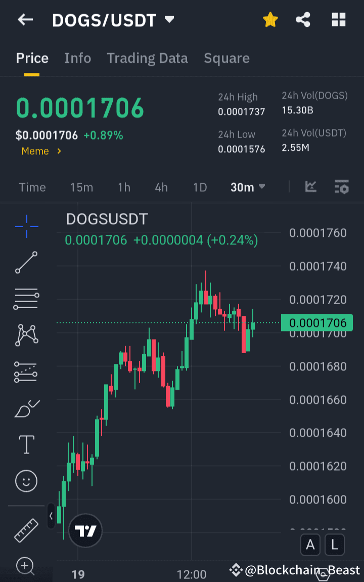 $DOGS /USDT Bull Run Alert! 💰 Current Price: $0.0001706 📊 | Blockchain_Beast on Binance Square