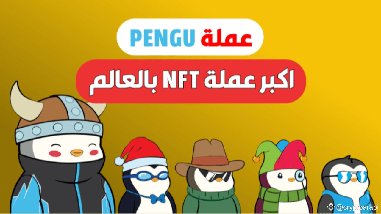 Everything you need to know about the Pudgy Penguins project PENGU coin | كريبتو بالعربي on ...
