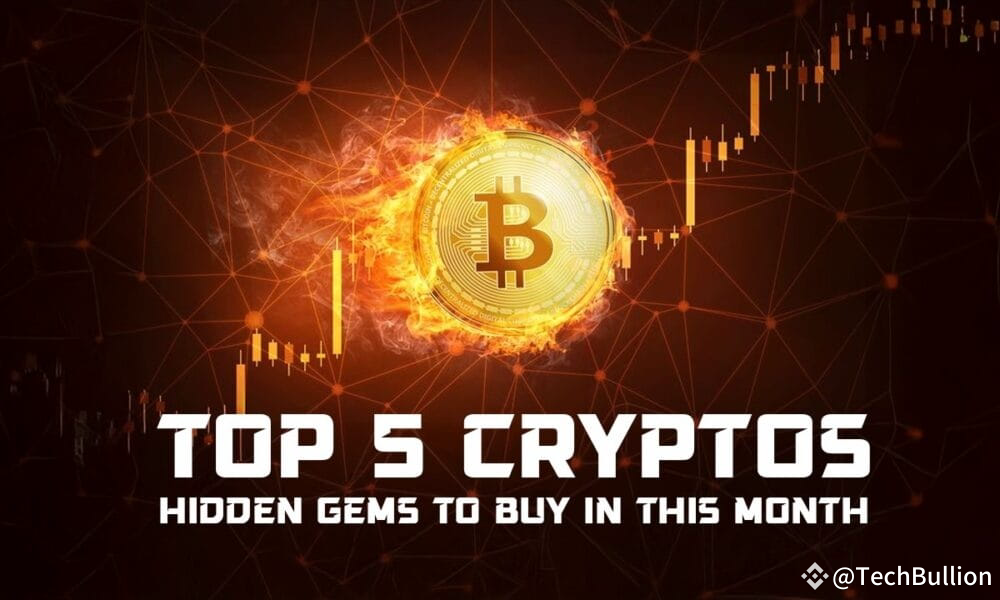 The Top 5 Best Coins to Invest in December 2024 | TechBullion on Binance Square