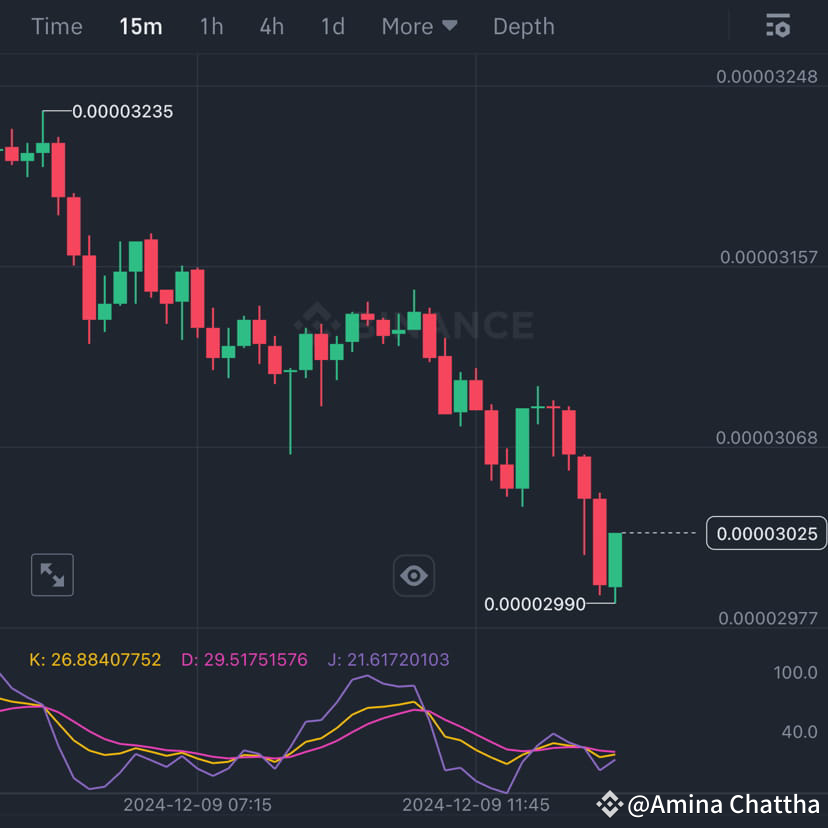 $SHIB Analysis • Current Price: 0.00003025 • Suppo | Amina Chattha on Binance Square