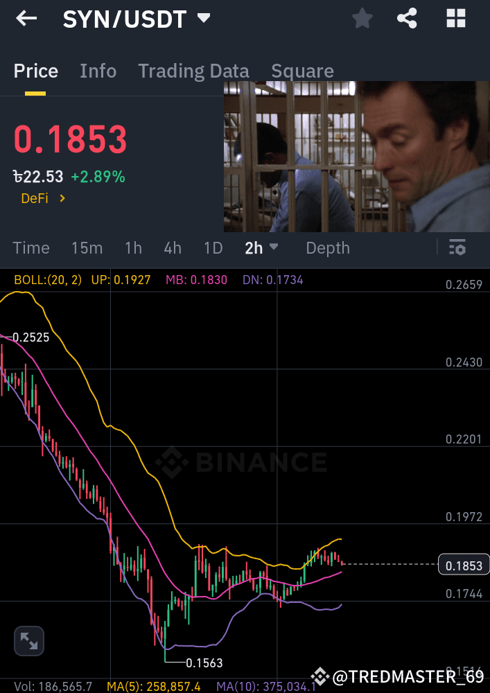 $SYN 🚀🔥 EXCLUSIVE SYN TOKEN DISCOUNT – LIMITED TIME ONLY! | TREDMASTER_69 on Binance Square