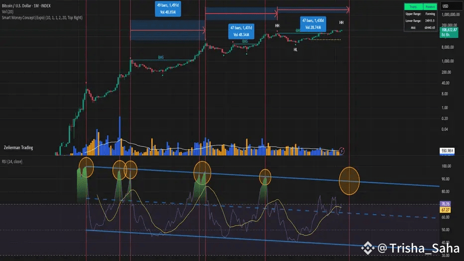 BTC/USD Analysis: RSI Bull Flag & Structural Insight | Trisha_Saha on ...