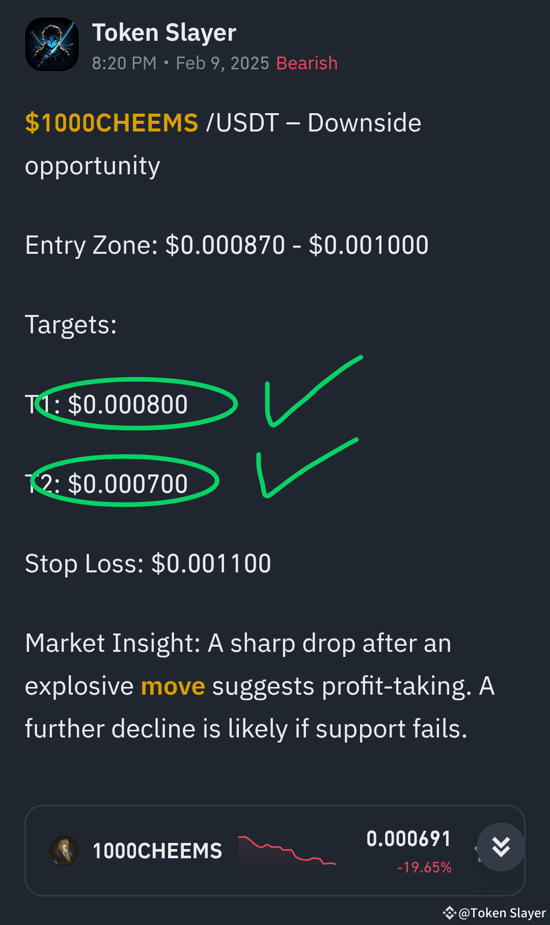 💵$1000CHEEMS Short - Signal provided 13 hours before from | Token Slayer on Binance Square