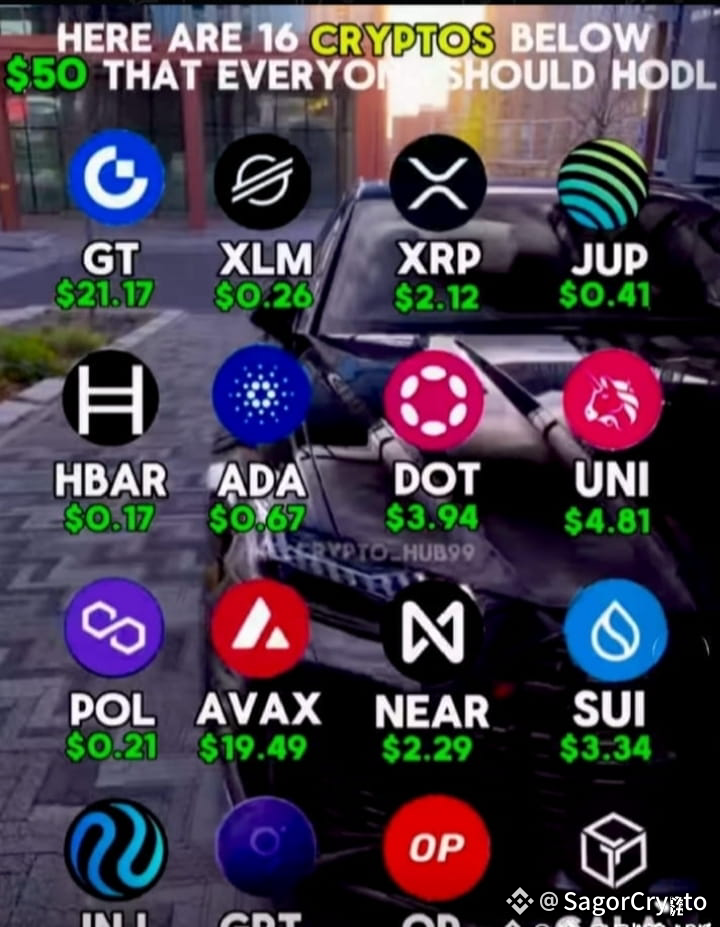 Top 16 crypto to hold. #BinanceAlphaAlert #MarketRebound | SagorCrypto on Binance Square