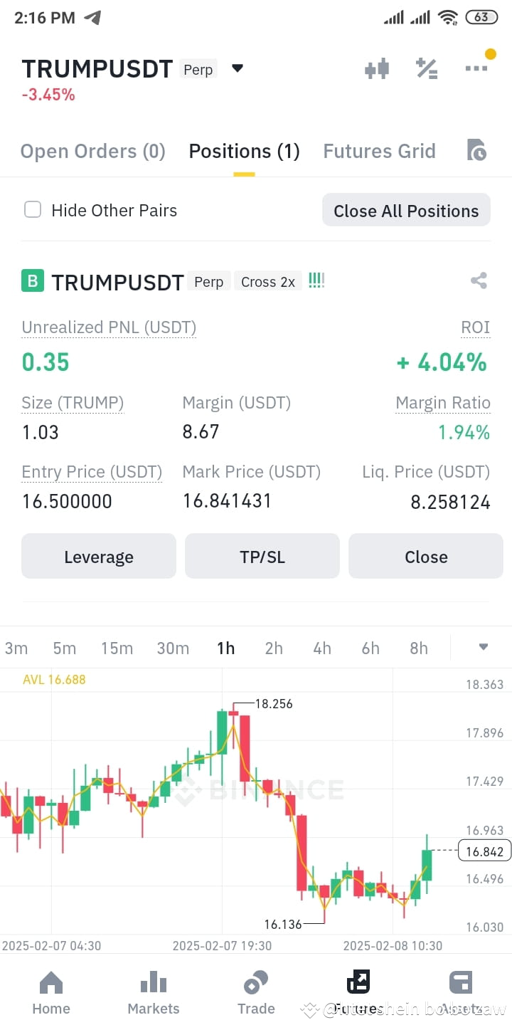 Hi who holding $TRUMP coin?😌😌 | htet shein bo bo zaw on Binance Square