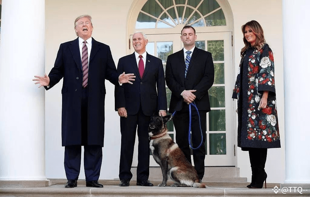 $SOL Trump's presidential dog Conan is about to take off, c | TTQ-- on ...