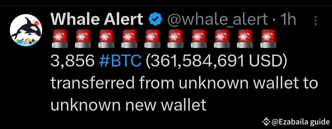 See this Guys... How Big Whale Transfer his 3,856 $BTC From | Ezabaila ...