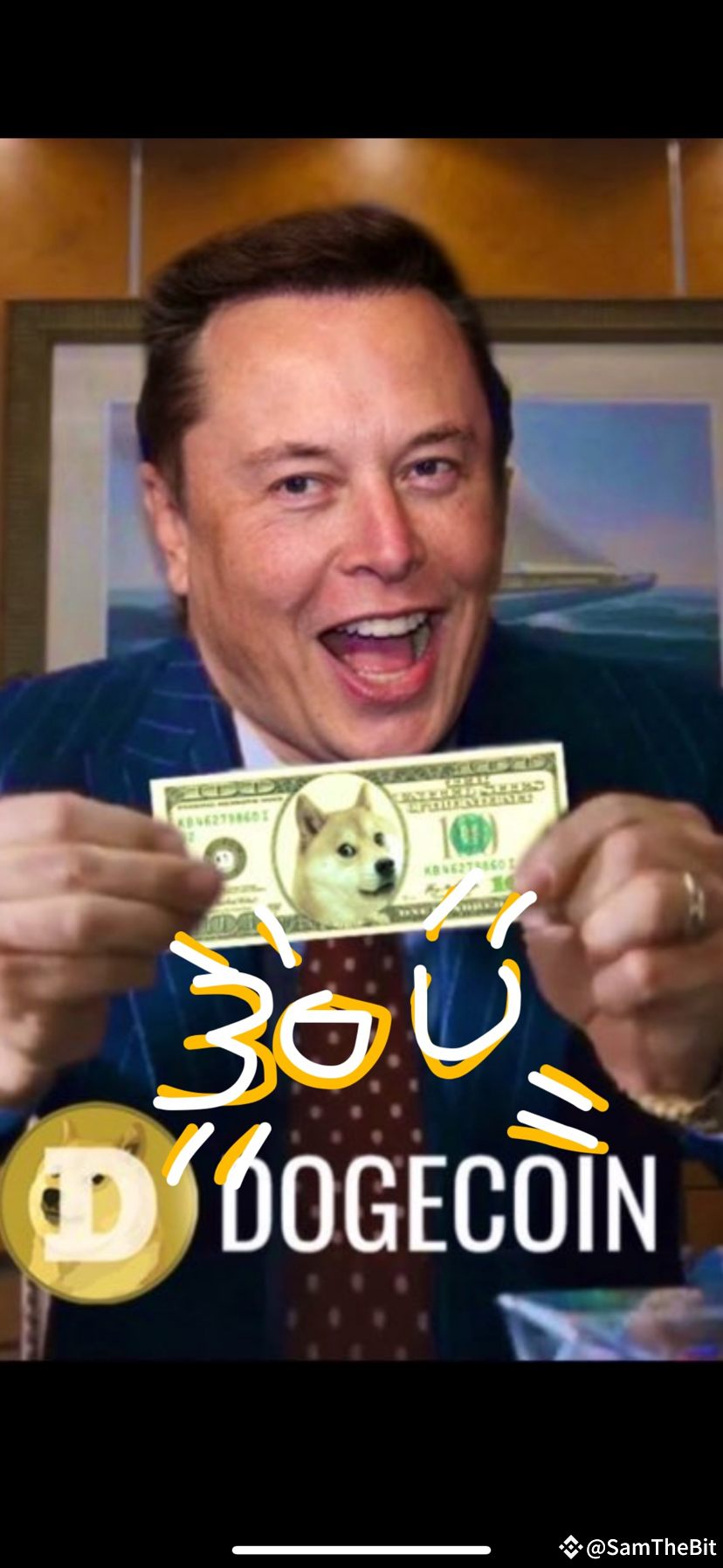 I’ve pulled the strings on the Shenwen family! $DOGE If you | 山姆大叔sam ...