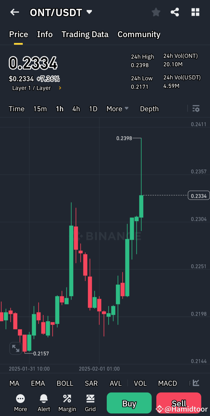 $ONT /usdt 🚀 Bullish Pattern Detected in Layer 1 / Layer T | Hamidtoor on Binance Square