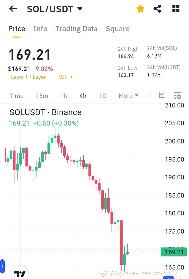 🚀 $SOL /USDT Price Update: Is a Rebound Coming? Key Targets | Square-Creator-bd774793f on ...