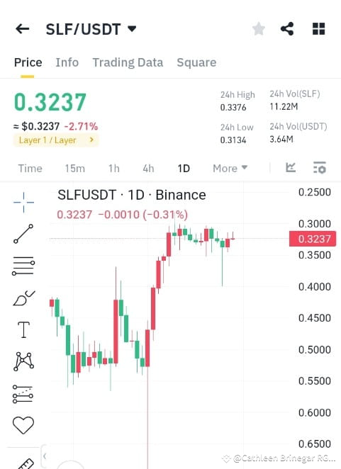 $SLF /USDT Technical Analysis 📊 | Binance Insights 📌 | Rai Haji ...
