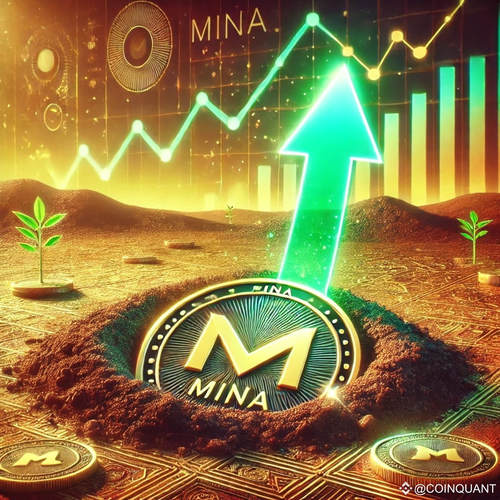 🔥 Don't miss the moment! MINA on the radar 🔥 Recently, I | COINQUANT on ...
