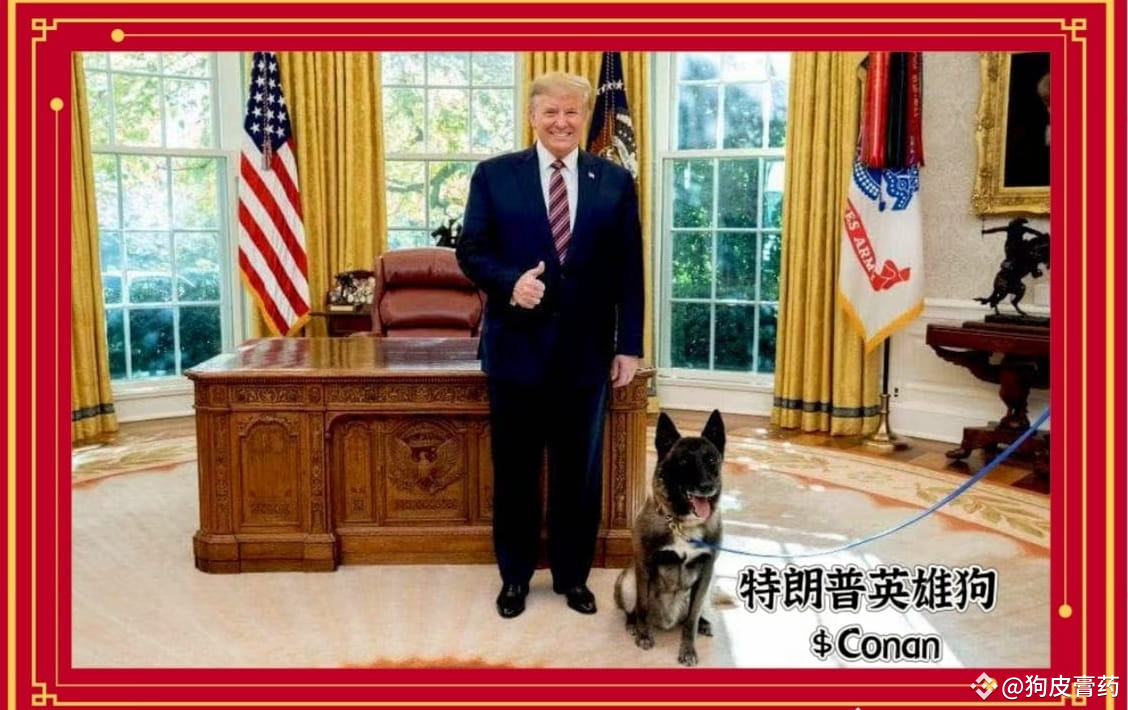 $SOL Dogs have different breeds and different prices. Choos | 狗皮膏药 on ...