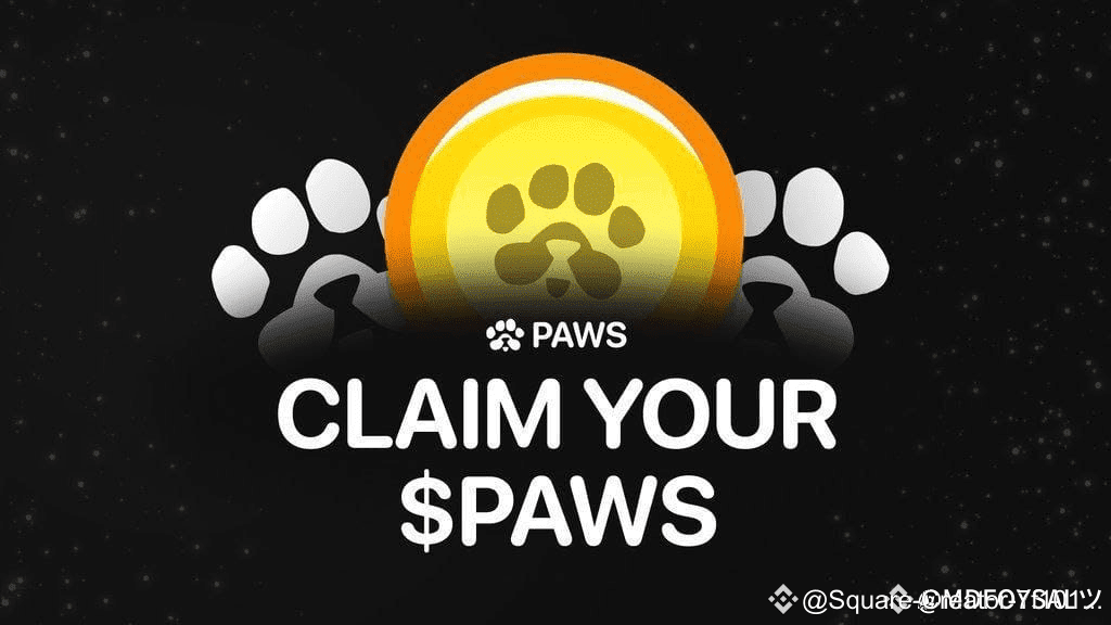 The PAWS Digital Token: An Overview and Reasons for Its Non-Listing on ...