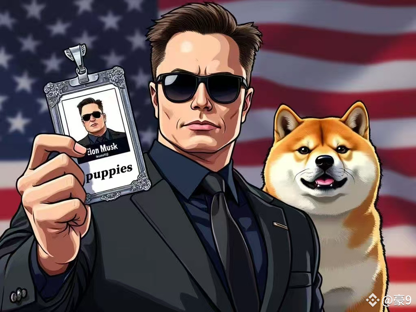 🚀 Elon Musk and the Dogecoin Foundation Will Drive $DOGE to | 豪9 on ...