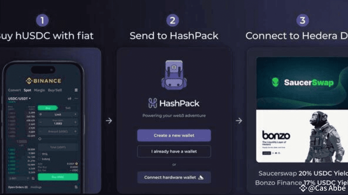 USDC on Hedera: The Stablecoin Uprising No One Saw Coming | Cas Abbé on Binance Square