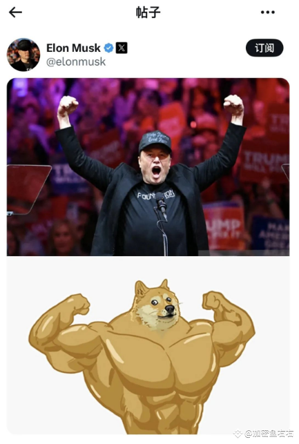 Elon Musk Shares Dogecoin Meme DOGE Leads the Surge, Soaring | 加密鱼右右 on ...