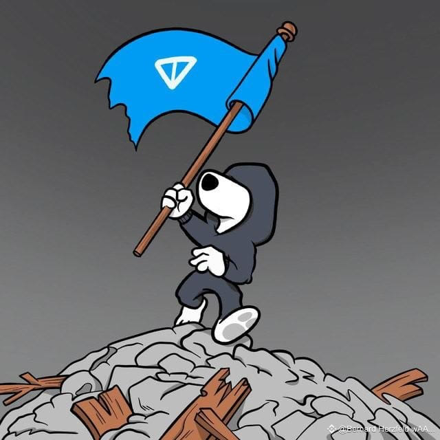 $DOGS $TON I'll hold it until 2025, or longer. | Zerofuku001 on Binance ...