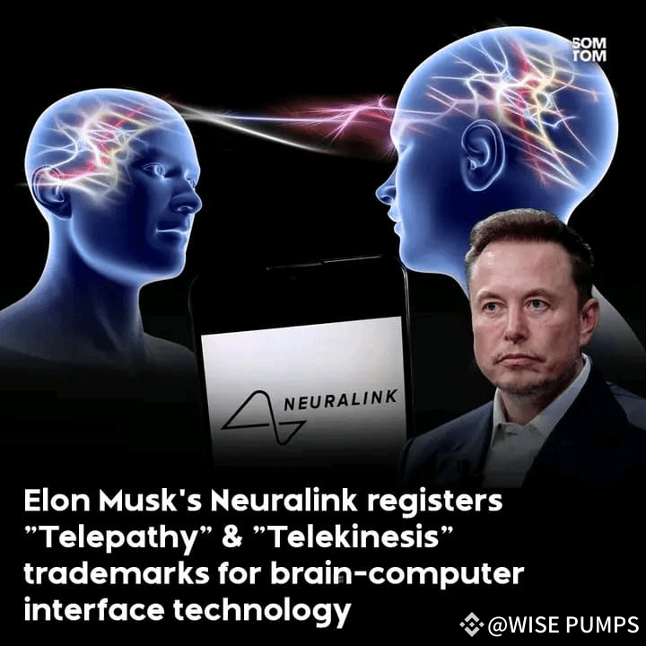 Neuralink, Elon Musk's brain-computer interface company, has | WISE ...