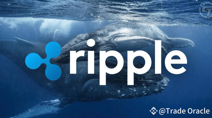 🔥💥 Whales Accumulate Over 120 Million XRP Amid Price Drop 🔥💥 | Trade Oracle on Binance Square