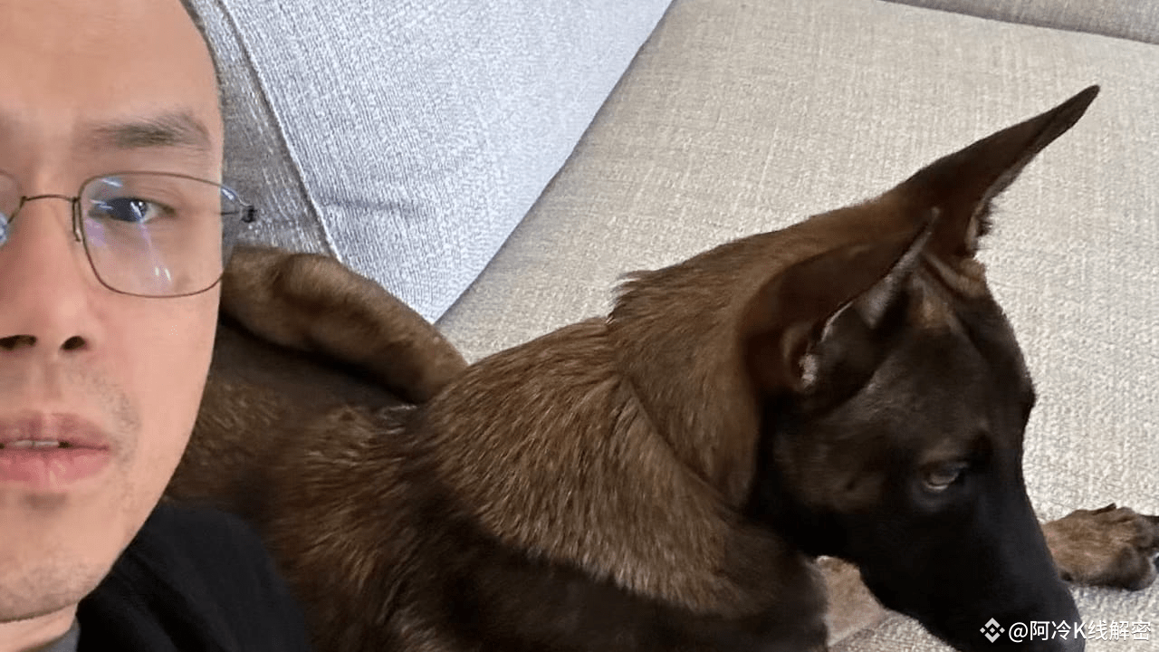Why did the dog CZ cause the surge? | 阿冷HODL on Binance Square