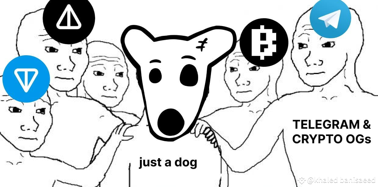 Will DOGS$ Recover After 39% Price Drop? DOGS, a new meme | khaled ...