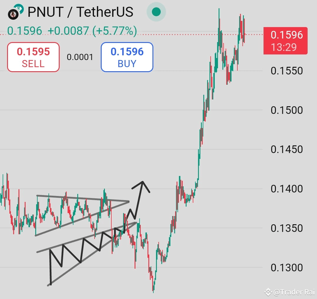 $PNUT – Analysis Played Out Perfectly! Chart Doesn’t Lie | Trader Rai ...