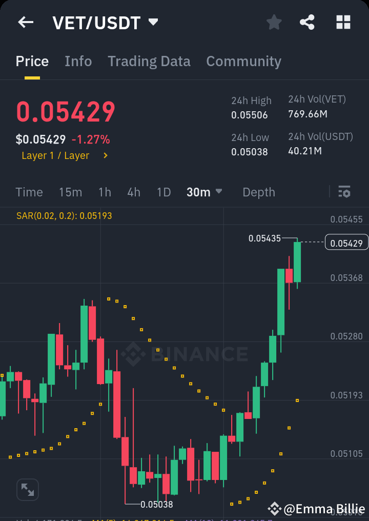 🚨 Big Opportunity Alert: VET/USDT Trading Setup! 🚨 $VET | Emma Billie ...