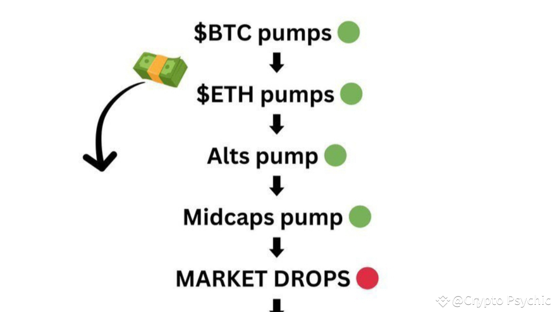 Understanding the Crypto Bull Run Cycle: Your Guide to Market Movements ...