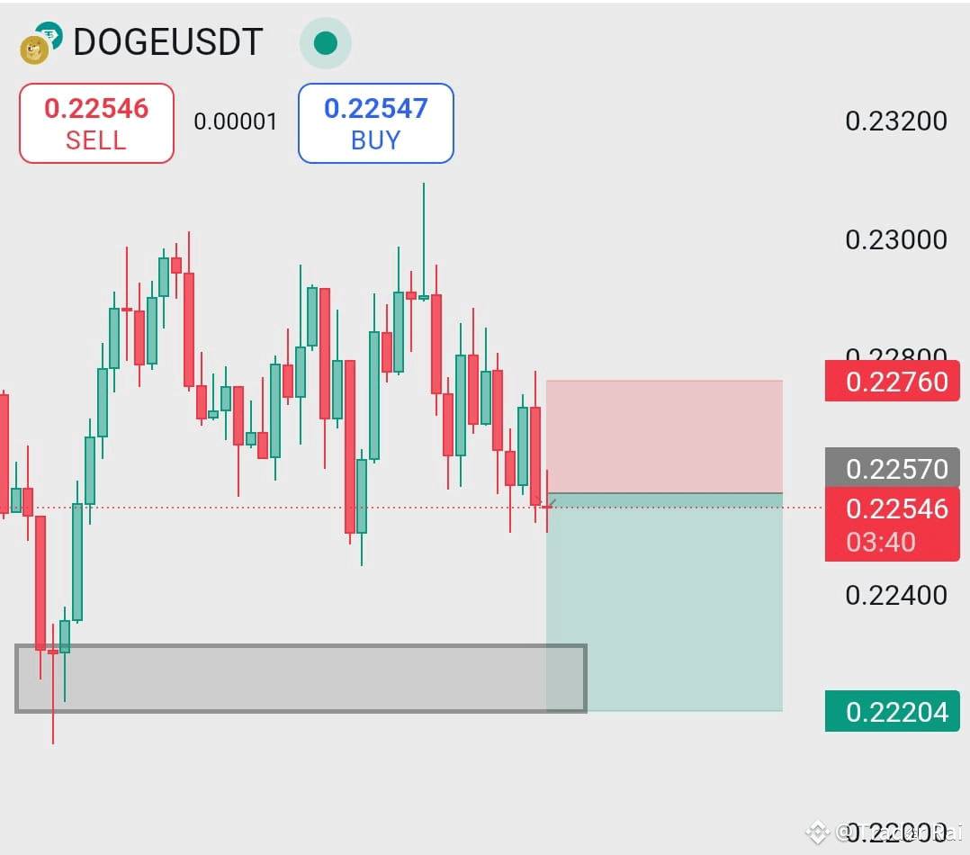 $DOGE – BEARISH SETUP UNFOLDING! Looks like the dog is r | Trader Rai ...