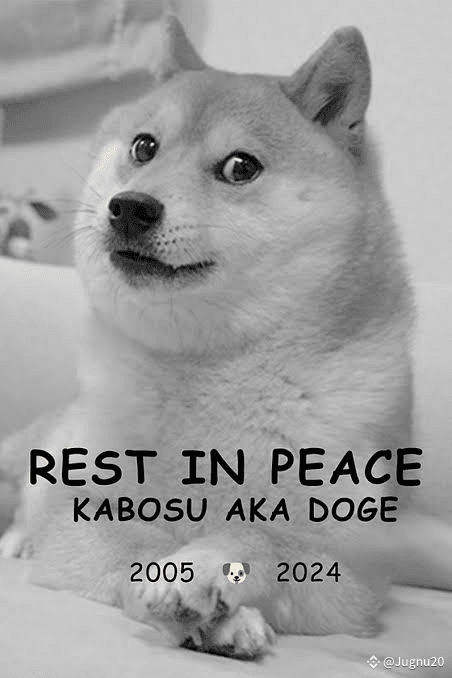 $DOGE The live price of Dogecoin is $0.414485 per (DOGE / | Jugnu20 on Binance Square