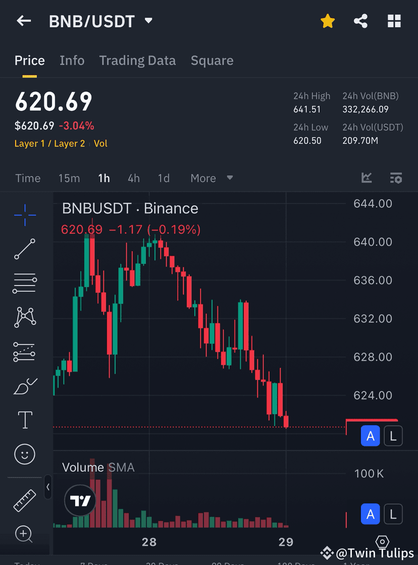 📉 $BNB /USDT Market Update! 🚀🔻 BNB is currently trading | Twin Tulips X Web3 Protocol on Binance ...