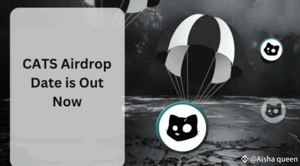 🚨🔴 **Cats Airdrop: Scam or Legit? Let’s Find Out! 🕵️‍♂️🫢 | BTC UPDATER ...