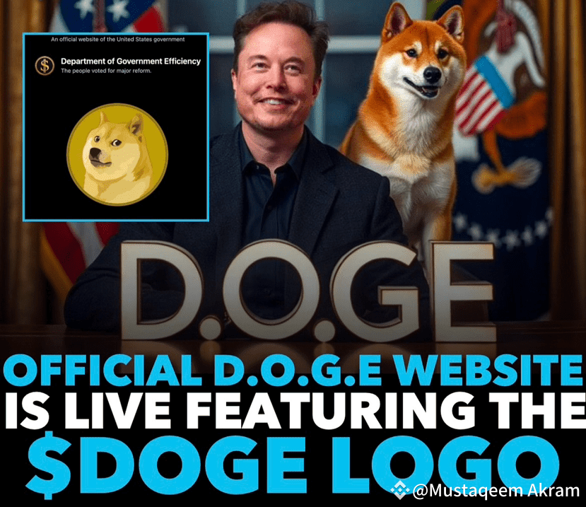 Congratulations 🎉 Officially $DOGE website is Live! it's T | Mustaqeem ...