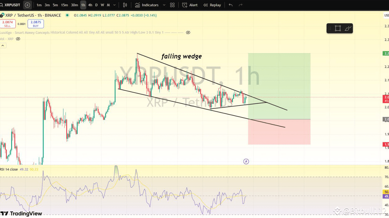 XRP UPDATE | Bit Bull on Binance Square