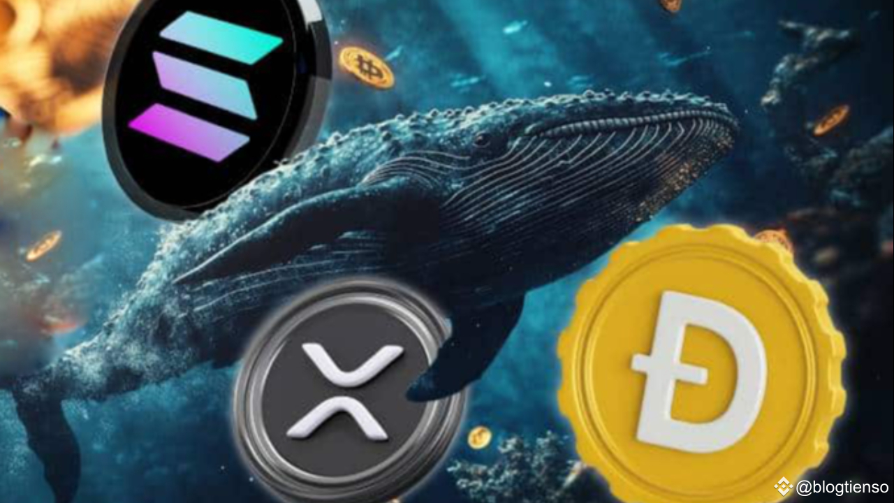 Cryptocurrency Whales Invest in XRP, Dogecoin, and Solana in Upcoming Price Surge | blogtienso ...