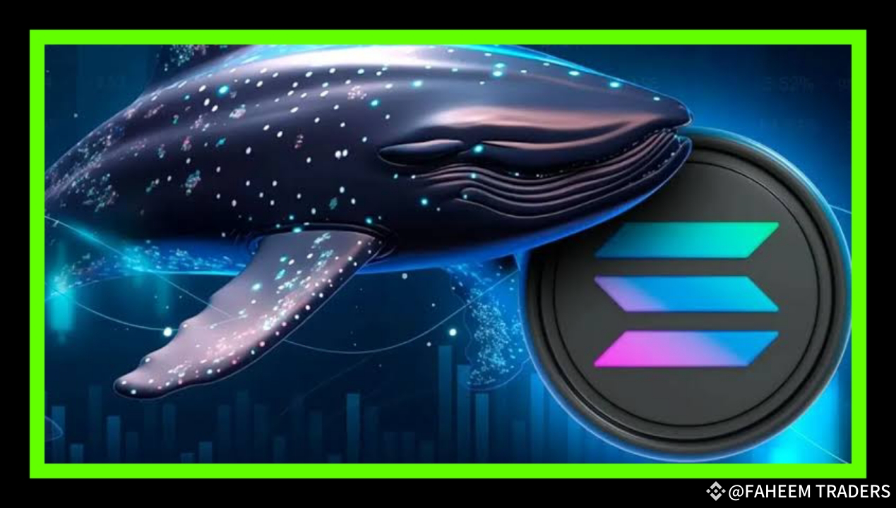$SOL 😱 Whales Make Big Moves with Solana; What’s Their En | FAHEEM TRADERS on Binance Square