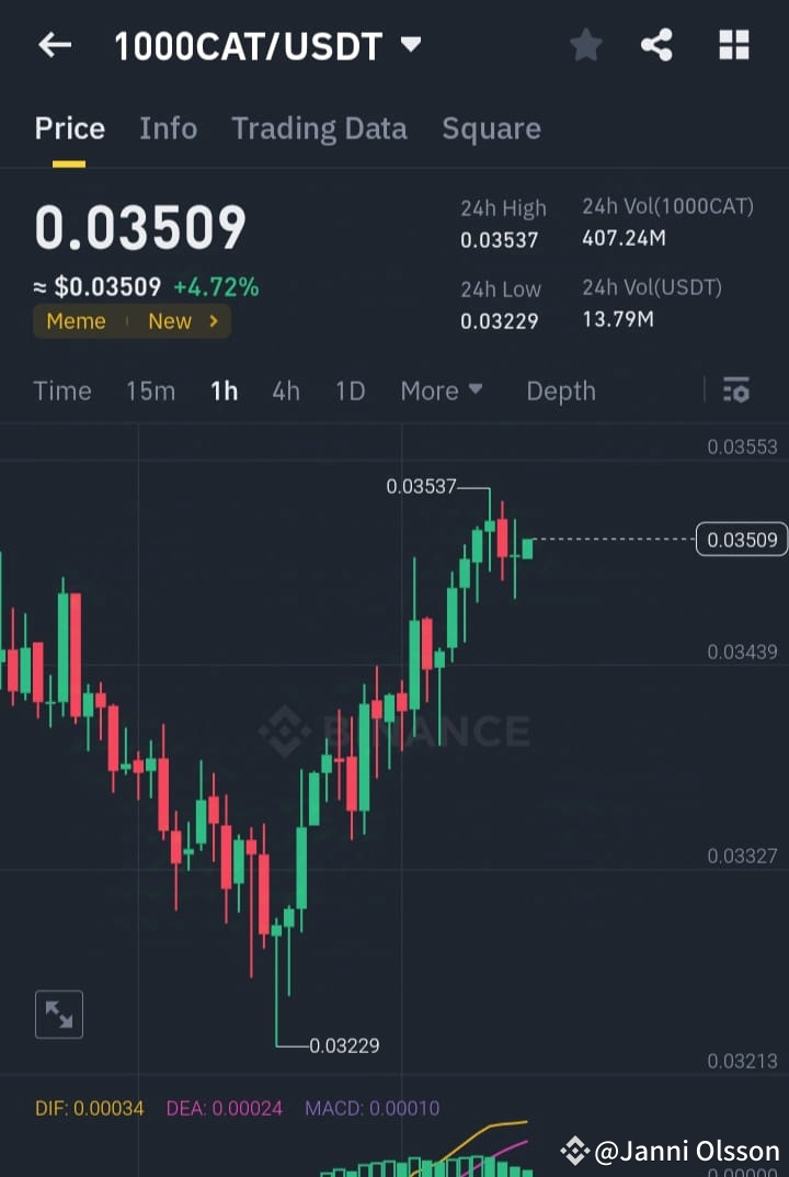 $1000CAT 1000CAT/USDT: Meme Token on the Move! 🐱🚀 💹 Cu | Janni Olsson on Binance Square