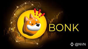 Bonk (BONK): On the path to growth Bonk (BONK), the first me | NVN on Binance Square