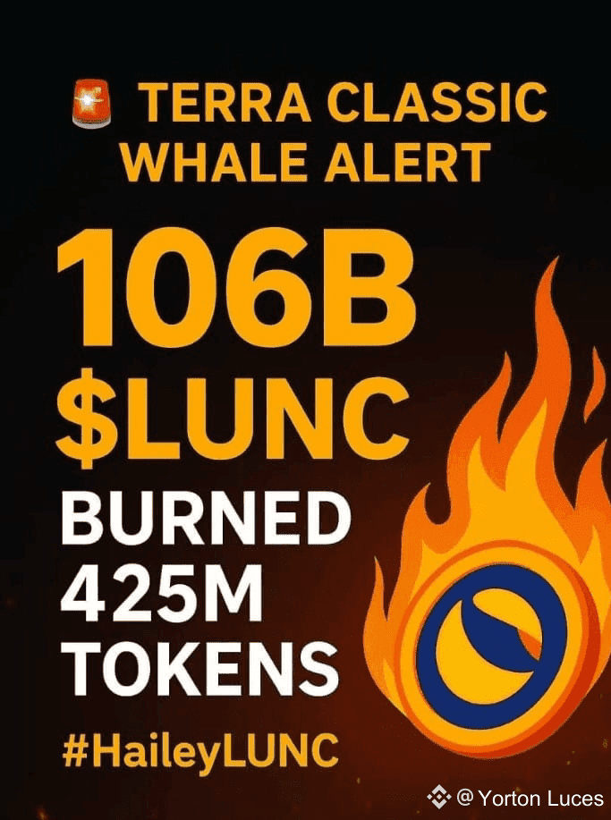 🔥👇 🔥 CLASSIC TERRA WHALE ALERT 🐋 🚨 A massive whale just | Yorton Luces ...