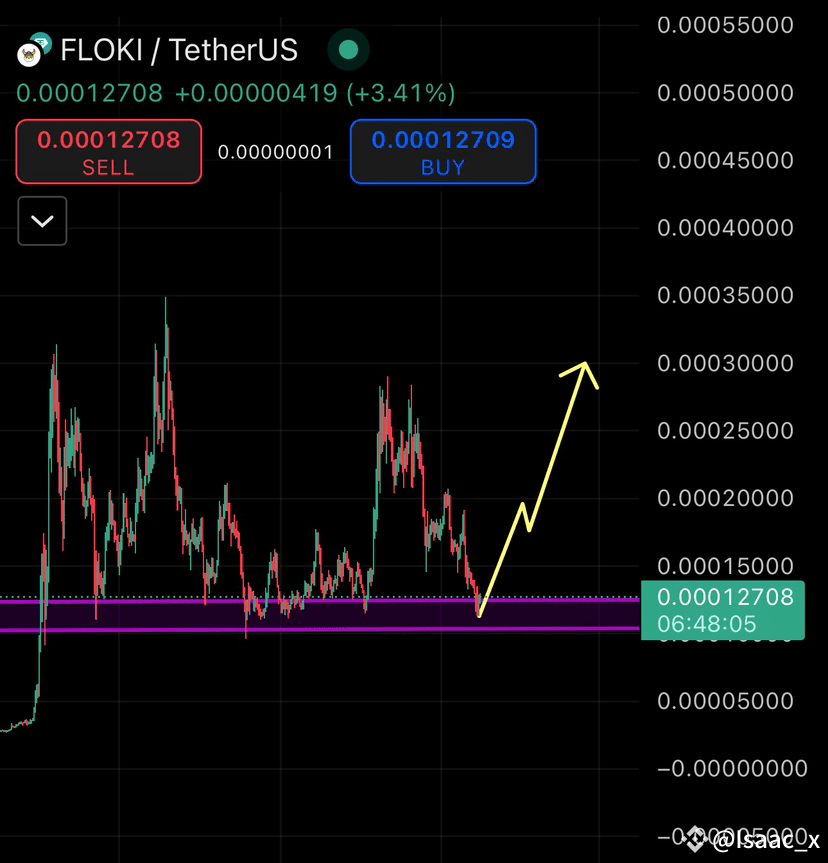 $FLOKI Holding strong through this week’s altcoin bloodbath! | ISAAC_X ...